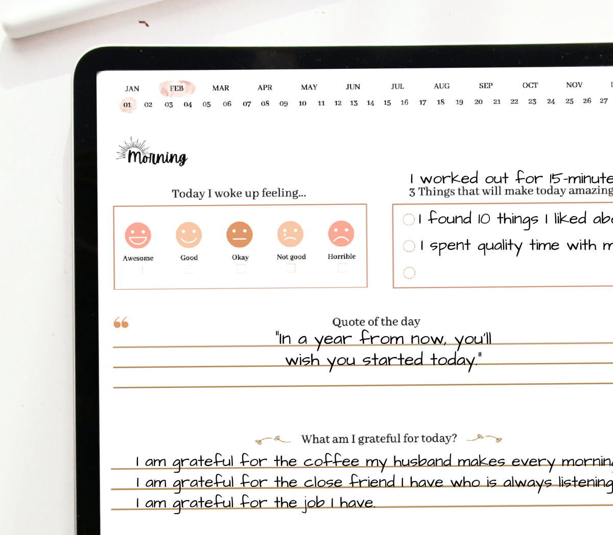 Digital Gratitude Journal {380+ Pages} – Chasing Foxes Shop